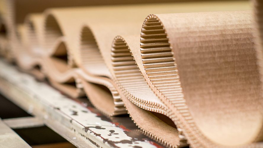 We All Play a Role in the Success of the Paper Packaging Circular ...