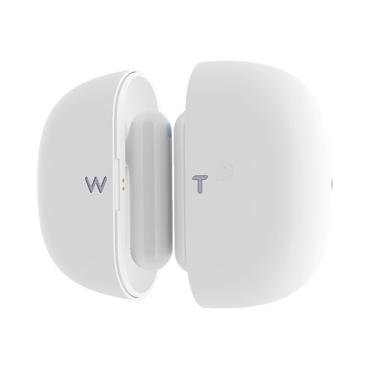 Timekettle WT2 Plus