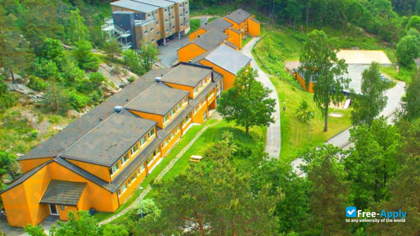 Tuition Free Bible College In Europe CollegeLearners Tuition Free Bible College In Europe CollegeLearners